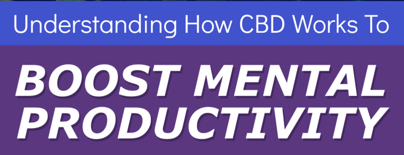 Understanding How CBD Works To Boost Mental Productivity - IndicaMD